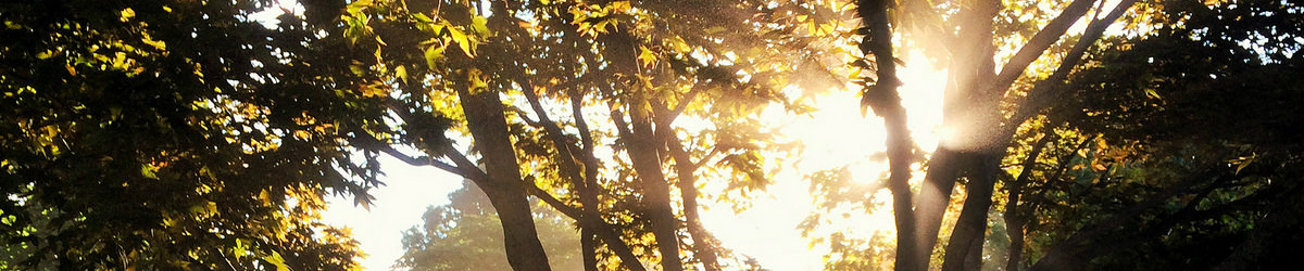 Understanding Updatein And Keypath In Immutablejs